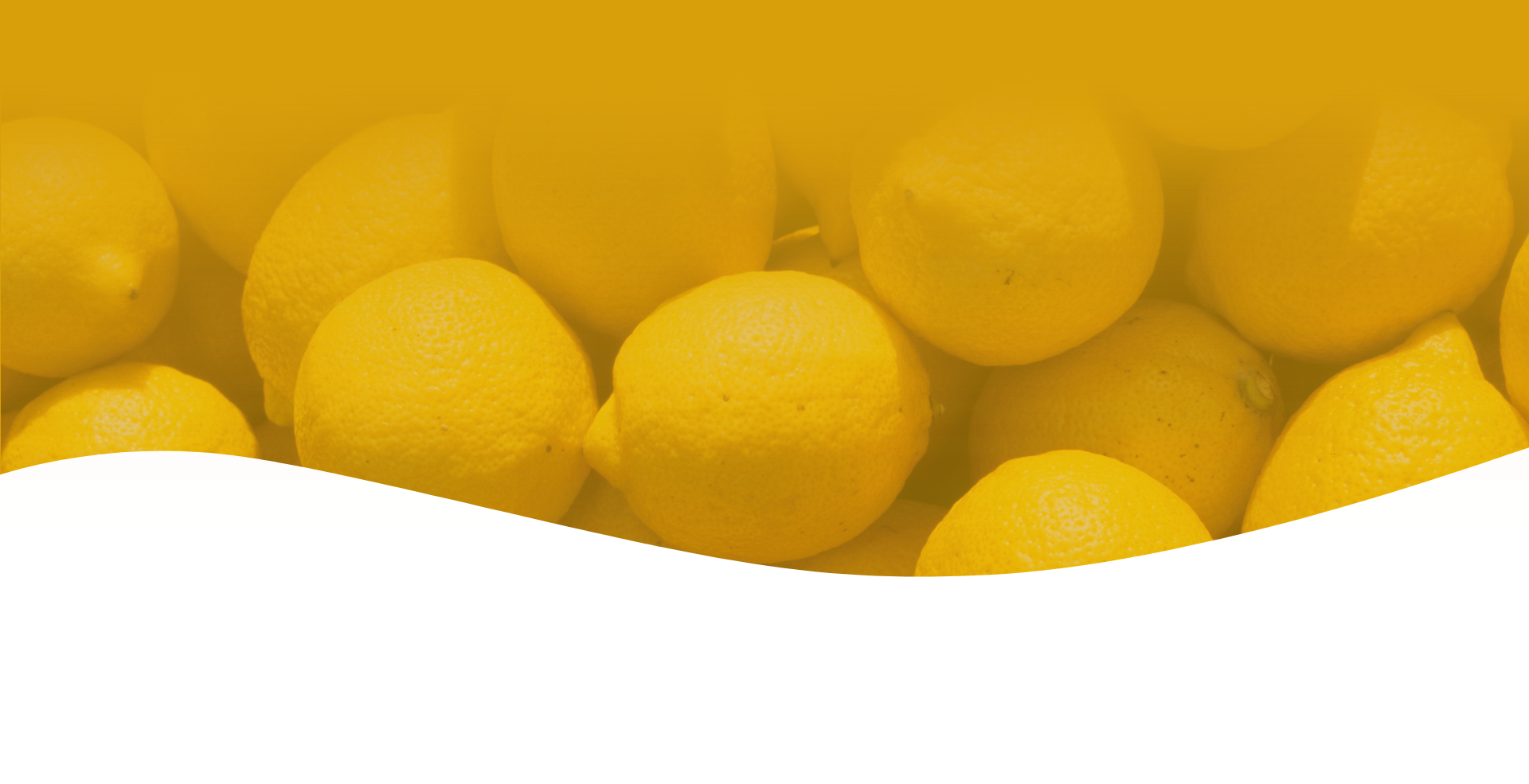 Good Buzz Kombucha | Authentically made in Tauranga